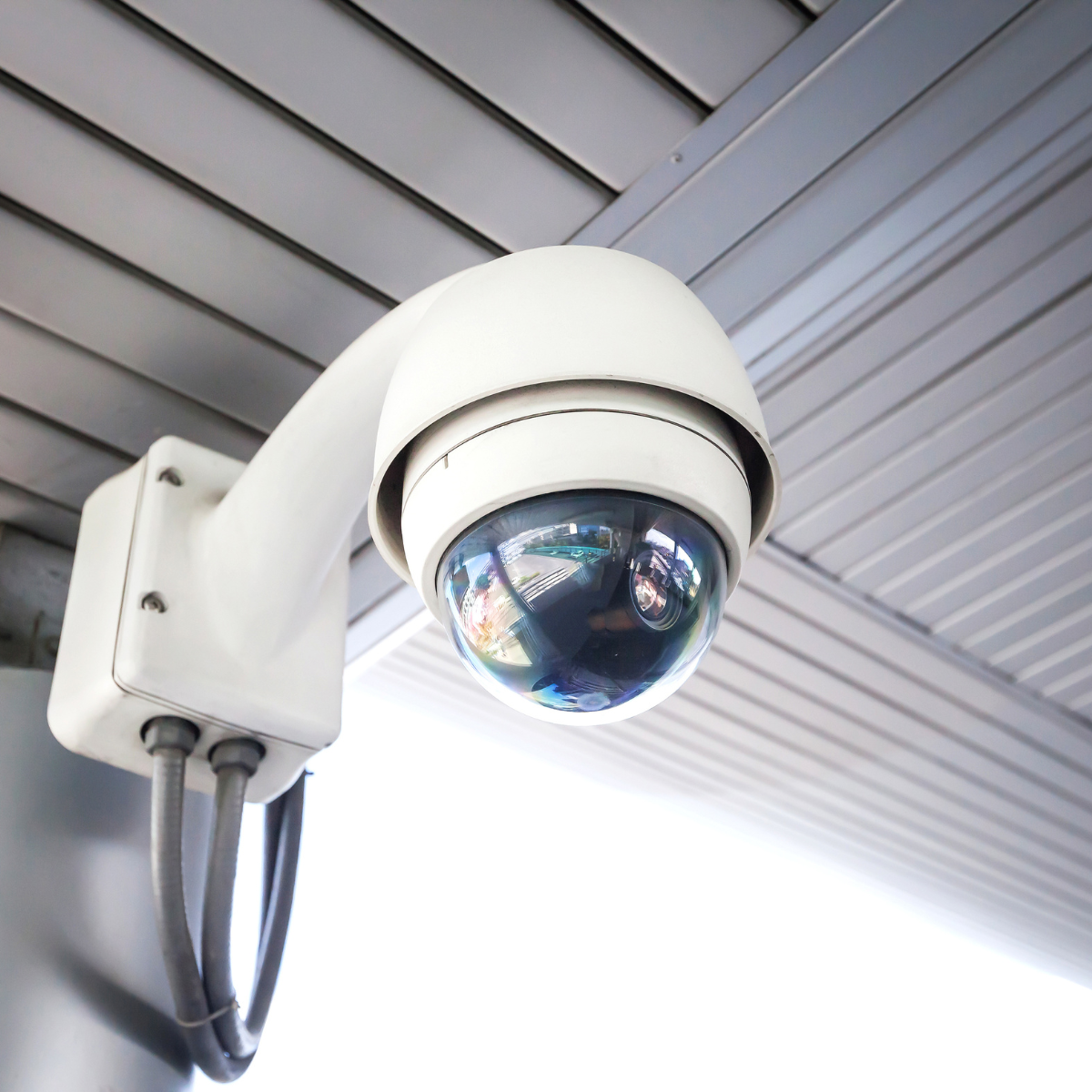 Are There Cameras On Cruise Ship Balconies? (Privacy Concerns Answered ...