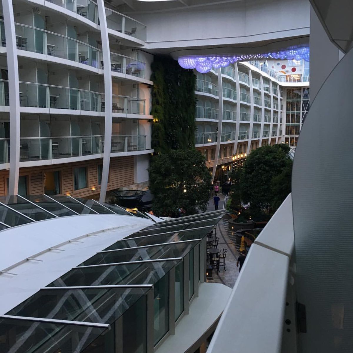 Allure of the Seas Central Park: An Oasis on the Ocean - CruiseOverload