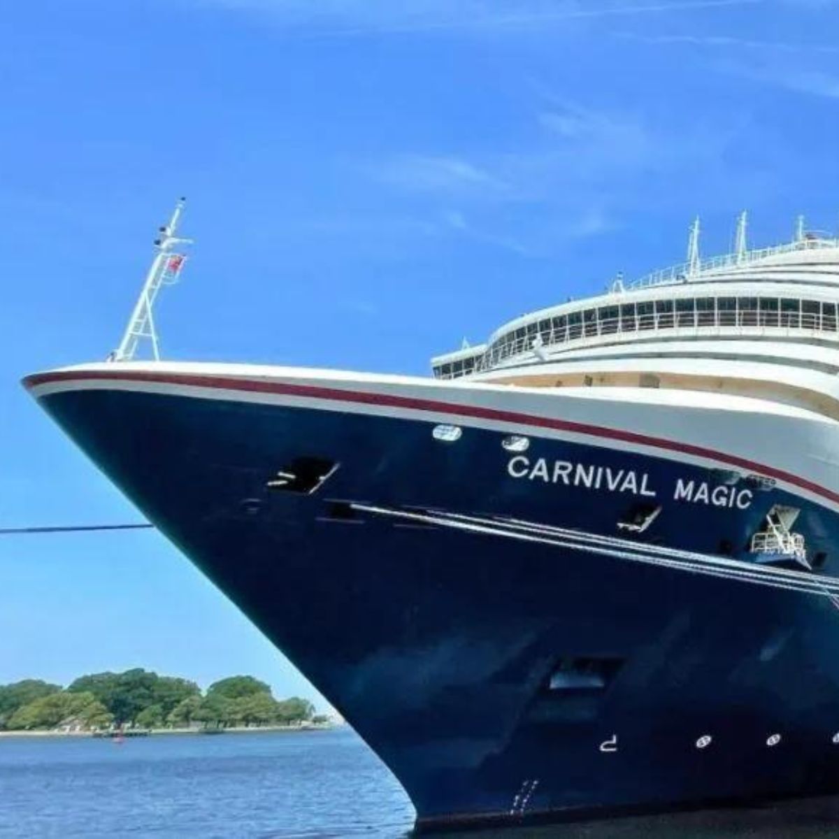 Assault at Sea: Carnival Cruise Passenger Faces Decade Behind Bars ...
