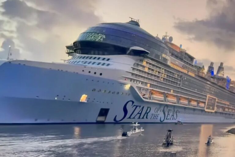 Royal Caribbean in Last-Minute Scramble After Diana Ross Cancels Naming ...